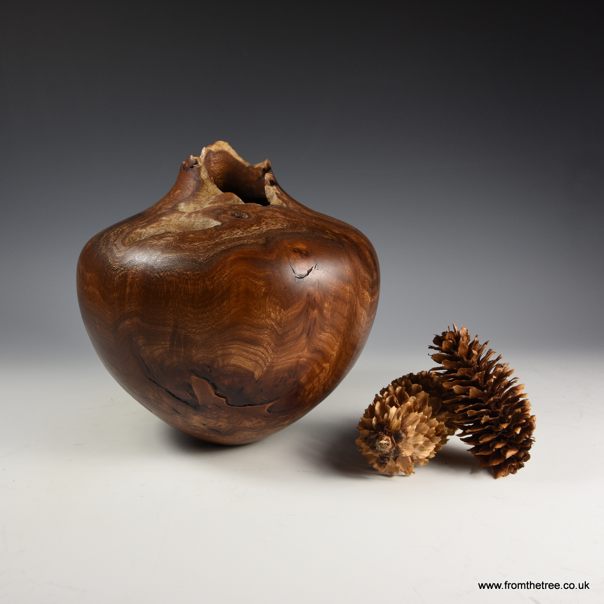 Natural edge burr elm hollow form. | American Association of Woodturners