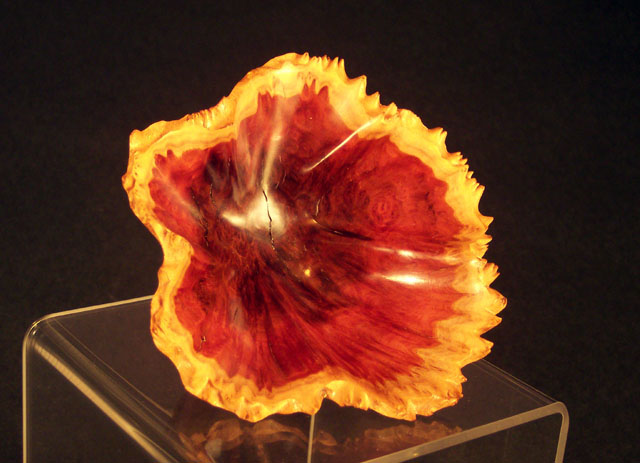 Red Morrel - alternate view | American Association of Woodturners